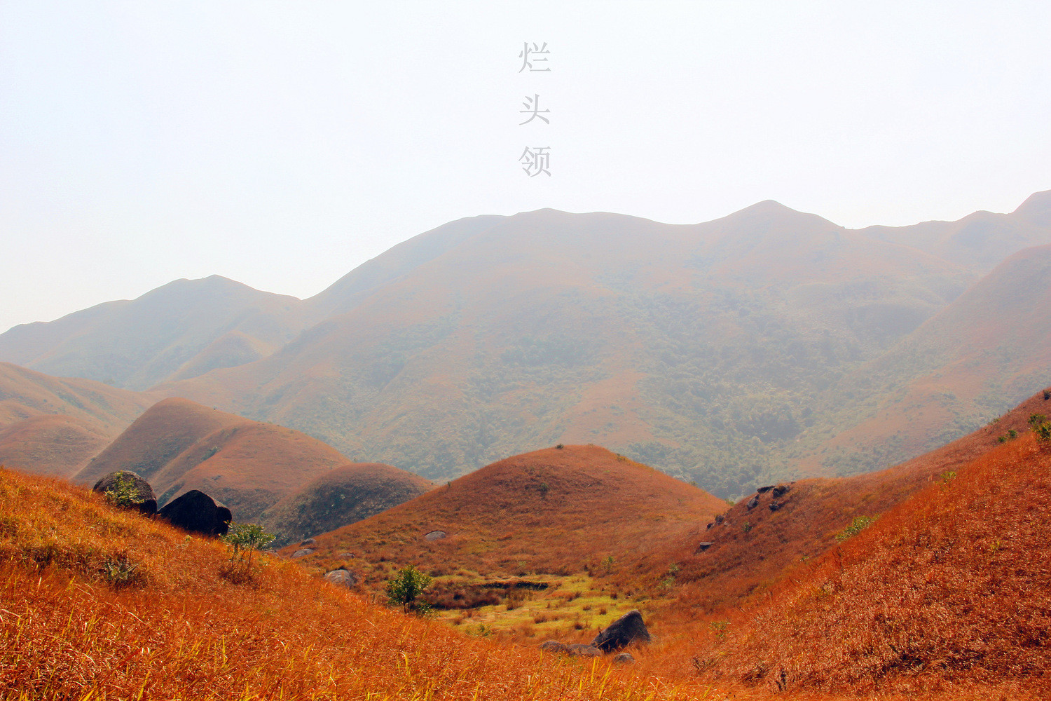 8264户外论坛?8264户外网! - 随意优惠券