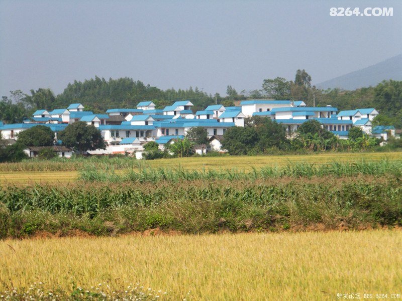 伶俐镇,青秀区伶俐工业园,南宁市青秀区南阳镇(第4页)_大山谷图库