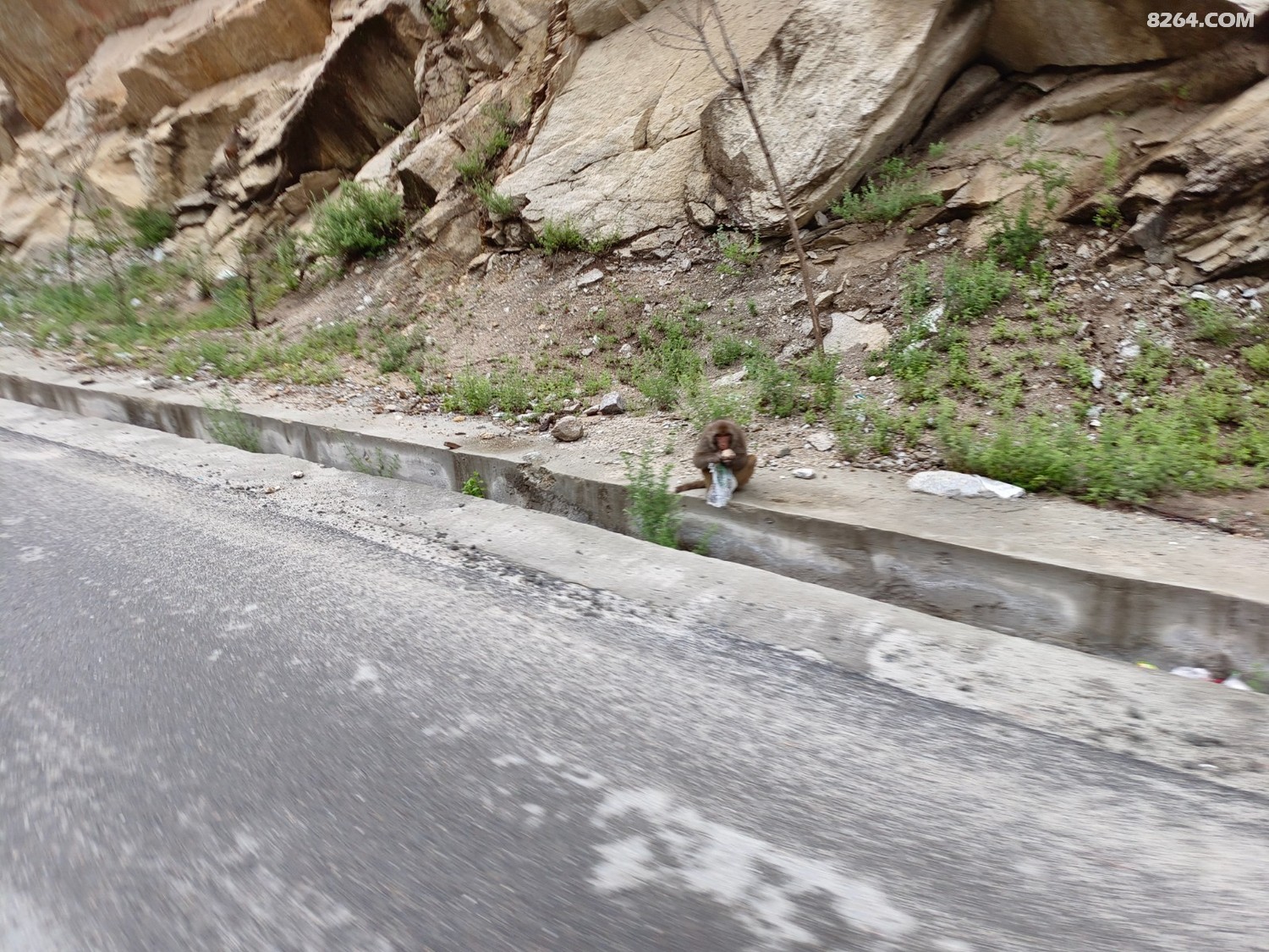 环中国—记2021-2023骑小折叠车，沿G228 G331 G219，三条国道连起来绕中国版图一圈。 - 第367页 - 骑行天下 - 8264户外